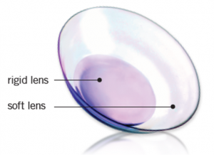 SynergEyes iD Single Vision - SynergEyes - SynergEyes
